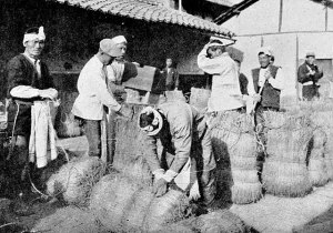 Changes in Japanese Agriculture over time – from the Feudal Period to ...